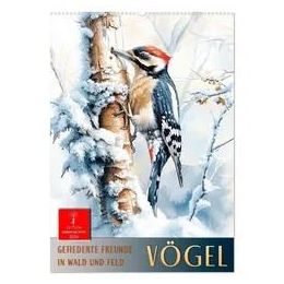 V&ouml;gel - gefiederte Freunde in Wald und Feld (Wandkalender 2026 DIN A2 hoch), Calvendo Monatskalender