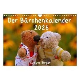 Der B&auml;rchenkalender 2026 (Wandkalender 2026 DIN A4 quer), Calvendo Monatskalender