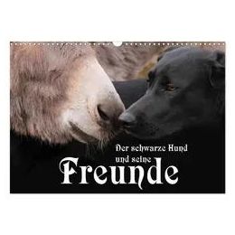 Der schwarze Hund und seine Freunde (Wandkalender 2026 DIN A3 quer), Calvendo Monatskalender