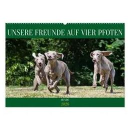 Unsere Freunde auf vier Pfoten - Hunde (Wandkalender 2026 DIN A2 quer), Calvendo Monatskalender