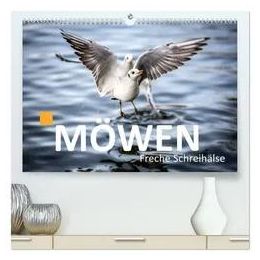 Calvendo M&Ouml;WEN Freche Schreih&auml;lse (hochwertiger Premium Wandkalender 2026 DIN A2 quer), Kunstdruck in Hochglanz