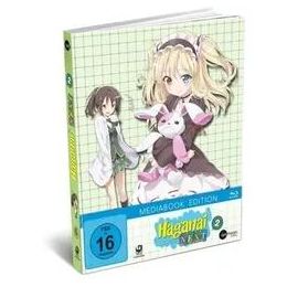 Haganai Next (Volume 2)