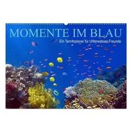 Momente im Blau - Ein Terminplaner f&uuml;r Unterwasser-Freunde (Wandkalender 2026 DIN A2 quer), Calvendo Monatskalender