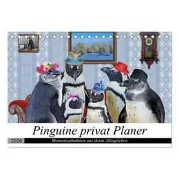 Pinguine privat Planer (Tischkalender 2026 DIN A5 quer), Calvendo Monatskalender