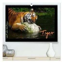 Calvendo Welt der Katzen - Tiger (hochwertiger Premium Wandkalender 2026 DIN A2 quer), Kunstdruck in Hochglanz