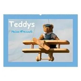 Teddys Meine Freunde (Wandkalender 2026 DIN A2 quer), Calvendo Monatskalender