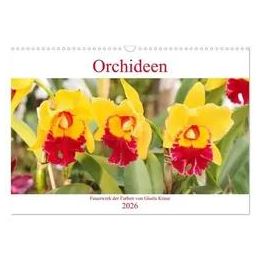 Orchideen Feuerwerk der Farben (Wandkalender 2026 DIN A3 quer), Calvendo Monatskalender