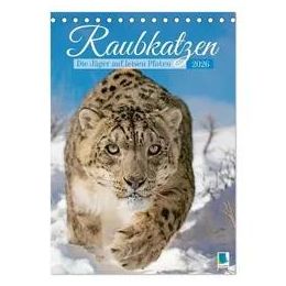Raubkatzen: Die J&auml;ger auf leisen Pfoten (Tischkalender 2026 DIN A5 hoch), Calvendo Monatskalender