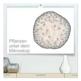 Calvendo Pflanzen unter dem Mikroskop (hochwertiger Premium Wandkalender 2026 DIN A2 quer), Kunstdruck in Hochglanz