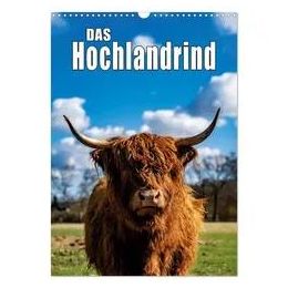 Das Hochlandrind im Fr&uuml;hjahr (Wandkalender 2026 DIN A3 hoch), Calvendo Monatskalender