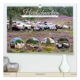 Calvendo Heidschnucken, die pr&auml;chtigen Schafe der L&uuml;neburger Heide (hochwertiger Premium Wandkalender 2026 DIN A2 quer), Kunstdruck in Hochglanz