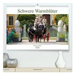 Calvendo Schwere Warmbl&uuml;ter 2026 (hochwertiger Premium Wandkalender 2026 DIN A2 quer), Kunstdruck in Hochglanz
