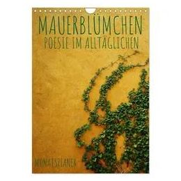 Mauerbl&uuml;mchen - Poesie im Allt&auml;glichen als Monatsplaner (Wandkalender 2026 DIN A4 hoch), Calvendo Monatskalender