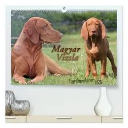 Calvendo Familienplaner - Magyar Vizsla (hochwertiger Premium Wandkalender 2026 DIN A2 quer), Kunstdruck in Hochglanz