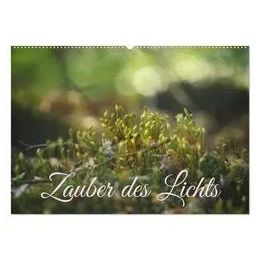 Zauber des Lichts (Wandkalender 2026 DIN A2 quer), Calvendo Monatskalender