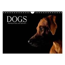 Dogs (Wandkalender 2026 DIN A4 quer), Calvendo Monatskalender
