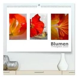 Calvendo Blumen Trilogien (hochwertiger Premium Wandkalender 2026 DIN A2 quer), Kunstdruck in Hochglanz