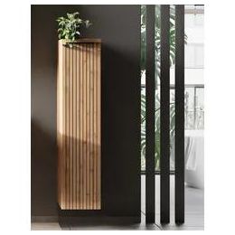 Midischrank Welltime, braun (wotaneiche), B:30cm H:130cm T:35cm, Holzwerkstoff, Schr&auml;nke, Midischrank, Welltime, Breite 30 cm, reversibel, 1 T&uuml;r, ged&auml;mpft