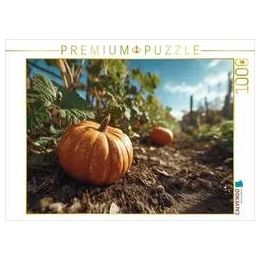 Calvendo Puzzle K&uuml;rbis im Gartenbeet bei Sonnenschein 1000 Teile Lege-Gr&ouml;&szlig;e 64x48cm Foto-Puzzle f&uuml;r gl&uuml;ckliche Stunden