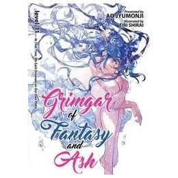 Grimgar of Fantasy and Ash (Light Novel) Vol. 11