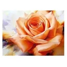 PRACHT Diamond Painting Orangene Rose 50x40cm