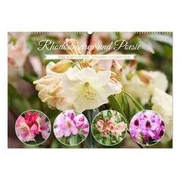 Rhododendren und Poesie (Wandkalender 2026 DIN A2 quer), Calvendo Monatskalender