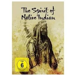 The Spirit Of Native Indian