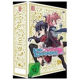 Love, Chunibyo & Other Delusions! - 2.Staffel - Gesamtausgabe - DVD Box [4 DVDs]