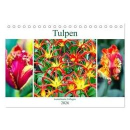 Tulpen - kunterbunte Collagen (Tischkalender 2026 DIN A5 quer), Calvendo Monatskalender