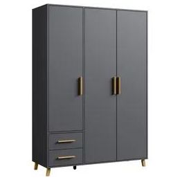Dreht&uuml;renschrank Rauch "Kleiderschrank Schrank Garderobe SHINJO Breiten 93/140/187 cm", grau (graumetallic), B:140cm H:203cm T:53cm, Holzwerkstoff, Schr&auml;nke, Dreht&uuml;renschrank, Griffe und F&uuml;&szlig;e aus Massivholz mit 2 Schubladen MADE IN GERMANY