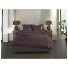 Bettw&auml;sche HECKETT & LANE "Franela", lila (schwarzberry wine, schwarzberry wine), B/L: 155cm x 220cm, 1 Stk., 1 Stk., Flanell, B/L: 80cm x 80cm, 2 Stk., Flanell, Obermaterial: 100% Baumwolle, Bettw&auml;sche, Bettw&auml;sche, Uni Design, hochwertiges Flanell, Bettw&auml;sche ab 135x200 cm