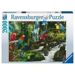 Puzzle Ravensburger "Bunte Papageien im Dschungel", bunt, Puzzles, KinderB:98cm H:75cm, Pappe, Made in Germany, B:98cm H:75cm