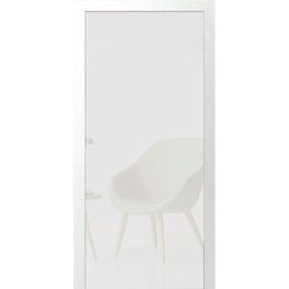 ECLISSE SYNTESIS LINE Schiebet&uuml;r Glas Mattiert Komplettset Trockenbau Wandb&uuml;ndig, 610x2110 mm, 100 mm,Einfl&uuml;gelt&uuml;r