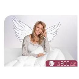 G&auml;nsedaunenbettdecke Schlafstil "D800", wei&szlig;, B:155cm L:220cm, Bezug: 100% Baumwolle. F&uuml;llung: 100% G&auml;nsedaunen, Bettdecken, hergestellt in Deutschland, allergikerfreundlich