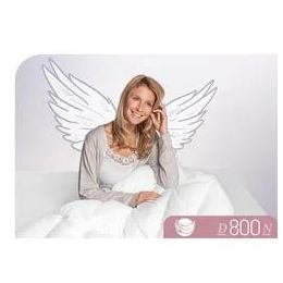G&auml;nsedaunenbettdecke Schlafstil "D800", wei&szlig;, B:155cm L:200cm, Bezug: 100% Baumwolle. F&uuml;llung: 100% G&auml;nsedaunen, Bettdecken, hergestellt in Deutschland, allergikerfreundlich