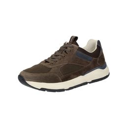 Sioux Sneaker Rogerlino-700-H in braun | Gr.: 43
