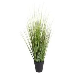 Kunstgras BOTANIC-HAUS "Gras Festuca", gr&uuml;n, B:22cm H:60cm T:22cm &Oslash;:22cm, Kunststoff, Kunstpflanzen