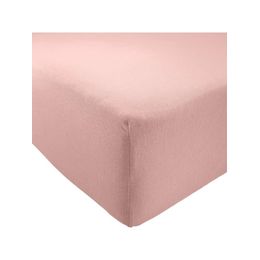 REDBEST Single-Jersey Spannbettlaken Pittsburgh in rose | Gr.: 90x190 cm - 100x200 cm