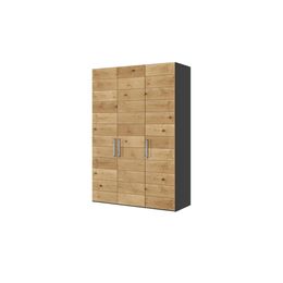 Dreht&uuml;renschrank Dreamer - holzfarben - 153 cm - 220 cm - cm 58,5 - Sconto