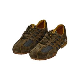 Geox Snake Original A in Khaki | Gr.: 41