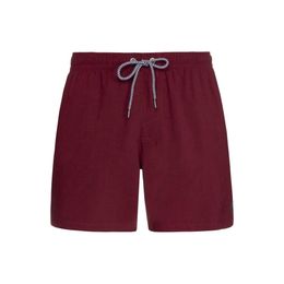 Protest " Davey in Red Sangria | Gr.: L