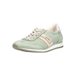 Paul Green Sneaker in Gr&uuml;n | Gr.: 38,5