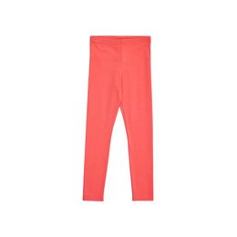 Fred's World by GREEN COTTON Fred ́s World by GREEN COTTON Leggings in Cayenne | Gr.: 122