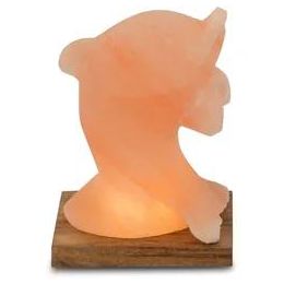 WAGNER LIFE DESIGN Salzkristall-Tischlampe "Delfin", orange, &Oslash; 7cm H: 15cm, 1 Stk., Leuchten, Handgefertigt aus Salzkristall - jeder Stein ein Unikat, H: ca.15 cm
