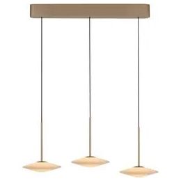 Paul Neuhaus LED Pendelleuchte "ELIPSA", bronze, 3, &Oslash; 20cm H: 80cm, 1 Stk., Leuchten, Dimmf&auml;hig &uuml;ber separaten Tronicdimmer, Comfort-Lift, LED Pendelleuchte