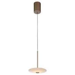 Paul Neuhaus LED Pendelleuchte "ELIPSA", bronze, 1, &Oslash; 20cm H: 80cm, 1 Stk., Leuchten, Dimmf&auml;hig &uuml;ber separaten Tronicdimmer, Comfort-Lift, LED Pendelleuchte