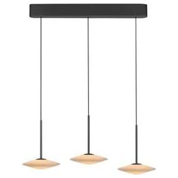Paul Neuhaus LED Pendelleuchte "ELIPSA", schwarz, 3, &Oslash; 20cm H: 80cm, 1 Stk., Leuchten, Dimmf&auml;hig &uuml;ber separaten Tronicdimmer, Comfort-Lift, LED Pendelleuchte