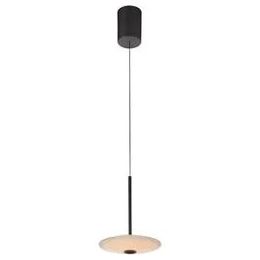 Paul Neuhaus LED Pendelleuchte "ELIPSA", schwarz, 1, &Oslash; 20cm H: 80cm, 1 Stk., Leuchten, Dimmf&auml;hig &uuml;ber separaten Tronicdimmer, Comfort-Lift, LED Pendelleuchte