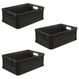 Transportbeh&auml;lter keeeper "Transportbox robert, 3er Set, 45 L, 60 x 40 x 22 cm", schwarz, B:40cm H:22cm L:60cm, Kunststoff, Transportboxen, s&auml;ure- und laugenbest&auml;ndig, 60 kg Tragkraft