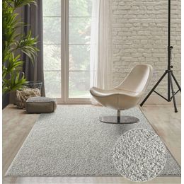 Teppich the carpet "Foxy", grau, B:120cm H:30mm L:170cm, Polypropylen, Teppiche, Teppich, Wohnzimmer Teppich Hochflor waschbar rutschfest